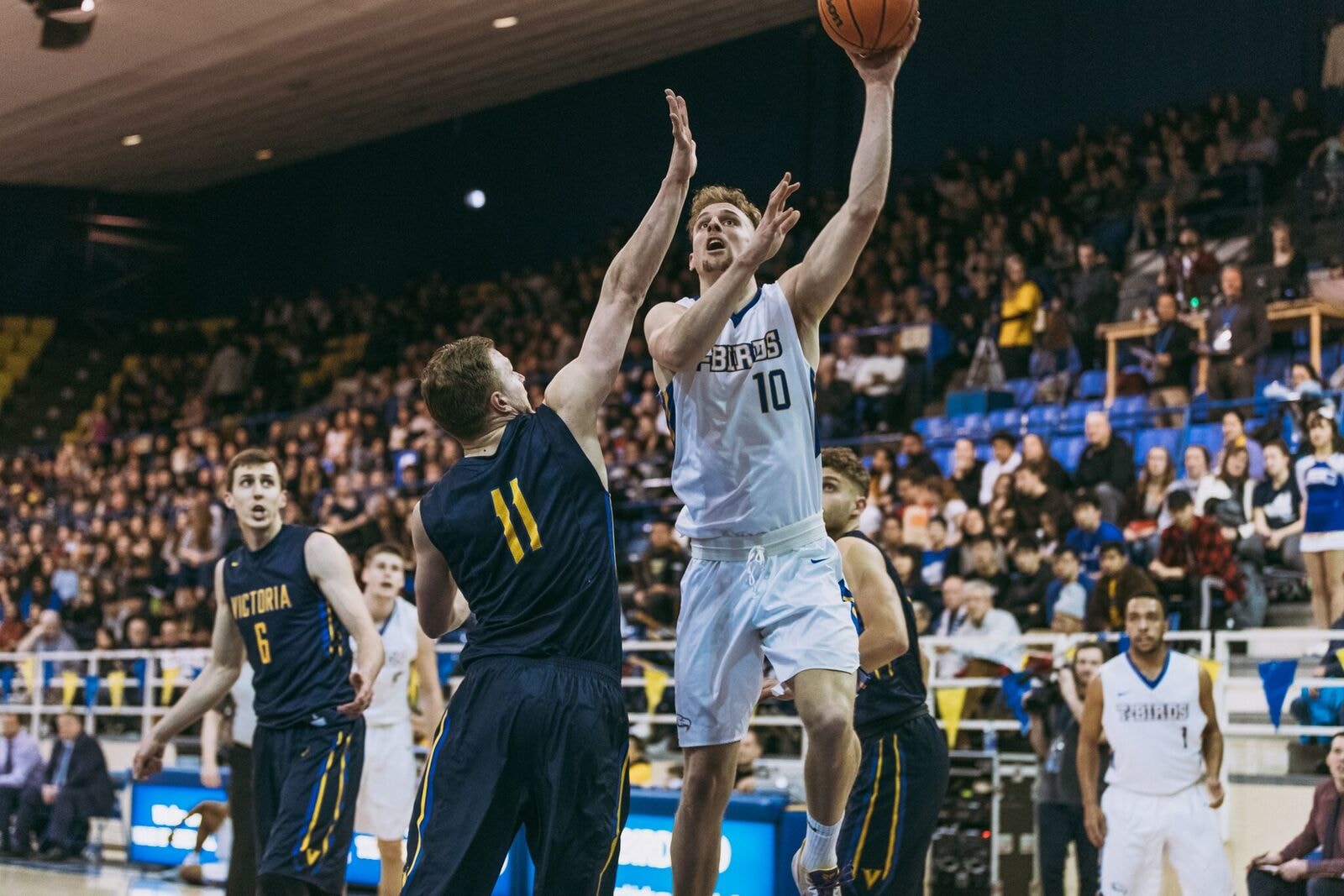 Vancouver Basketball