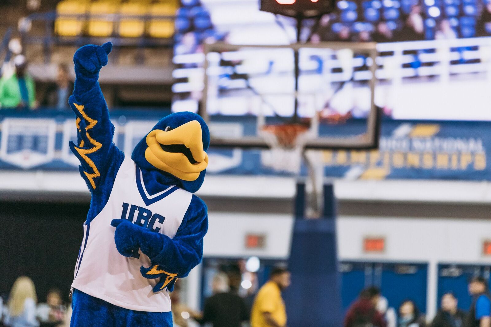 Vancouver Basketball
