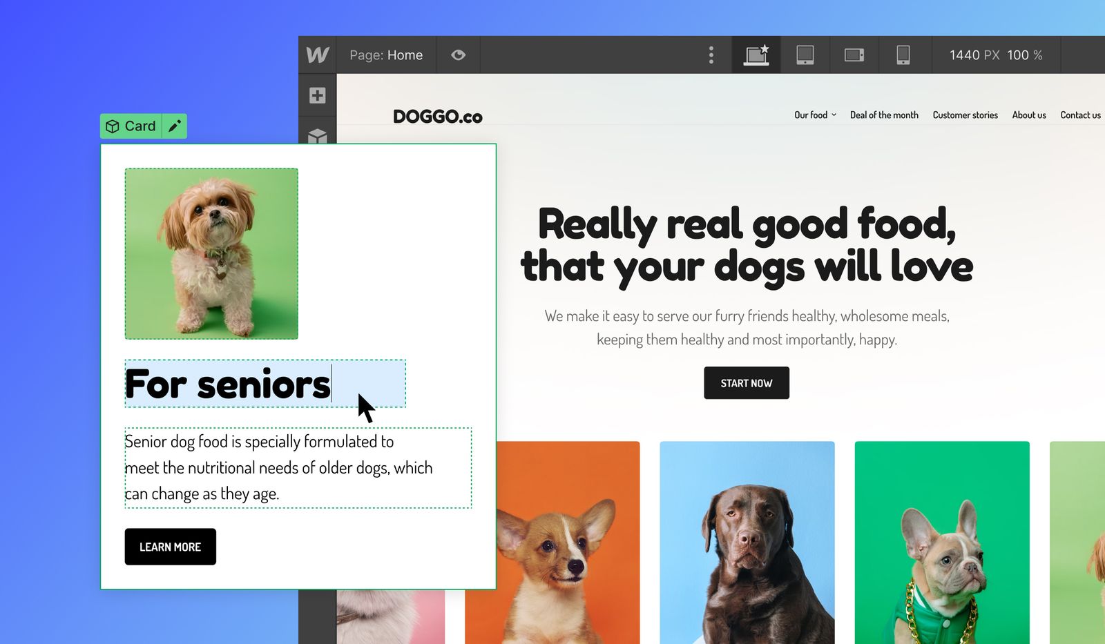 Latest updates and features | Webflow