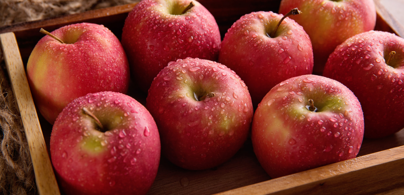 Integrated Service Solutions | WGS Case Study