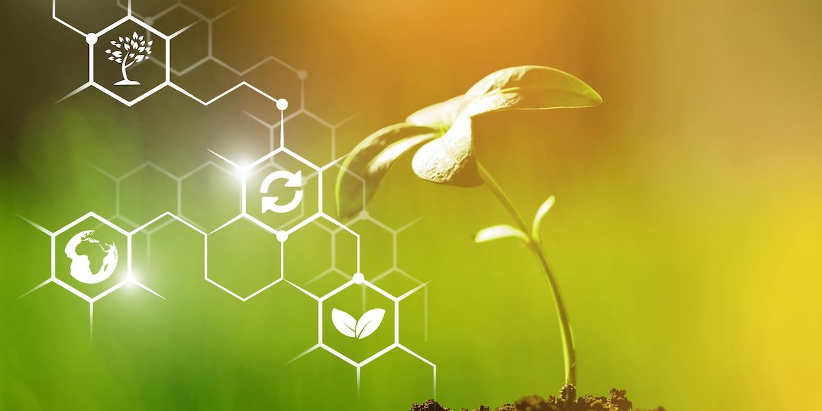 How Does Good Waste Management Boost Sustainability? - WGS