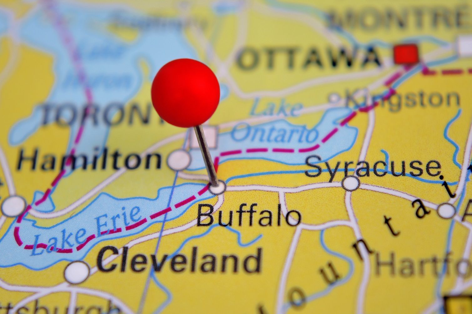 The Best Buffalo Themed Gifts | Vidlers 5 & 10