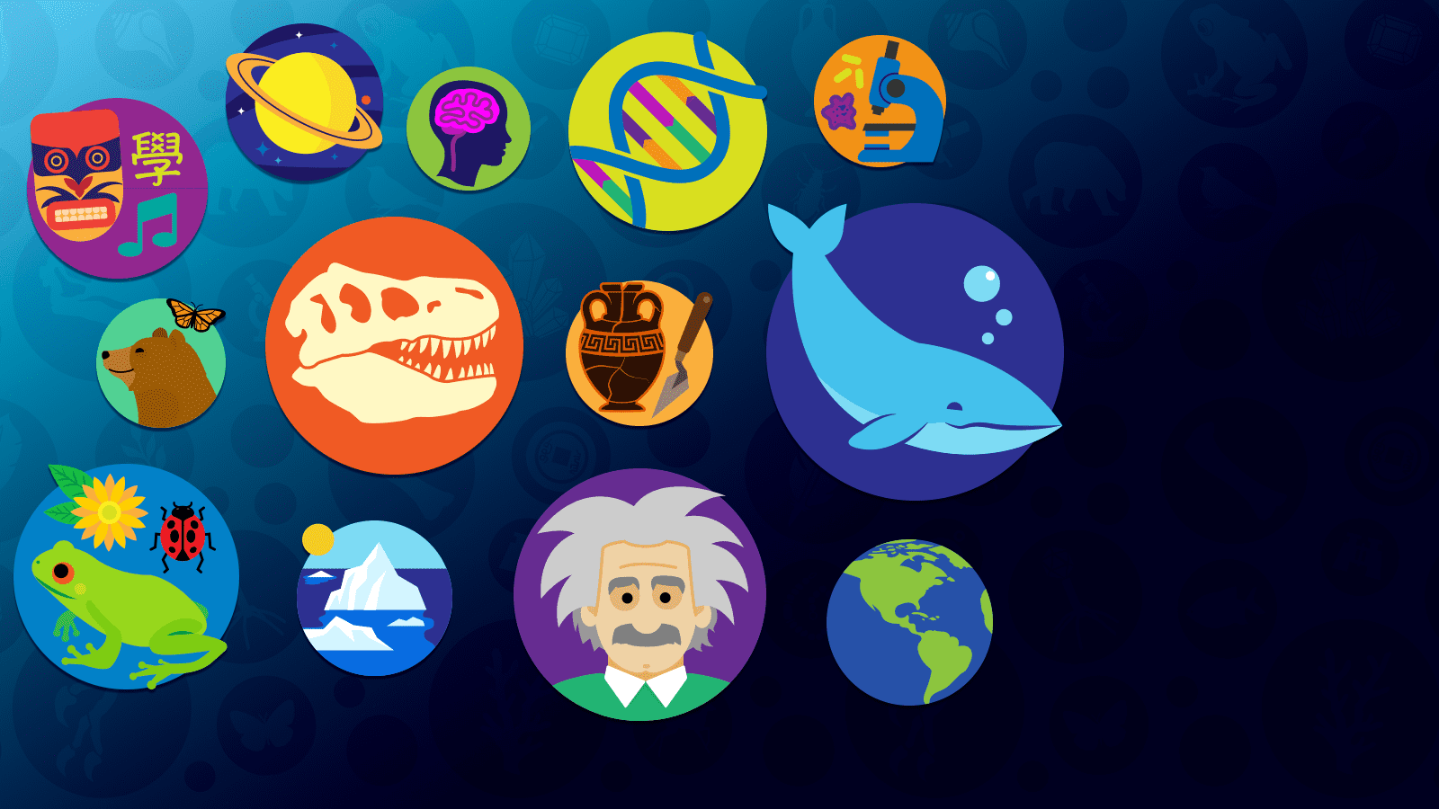 Explore Museum Sandbox Activities - OLogy