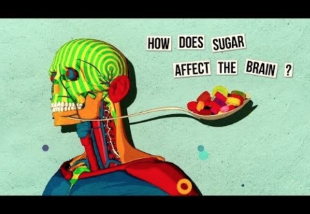 How Sugar Affects Your Brain | Healthy Eating And Living