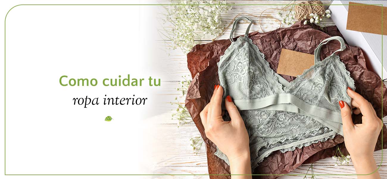 Encuentra Tips y Noticias para el cuidado, uso y conservación adecuado ...