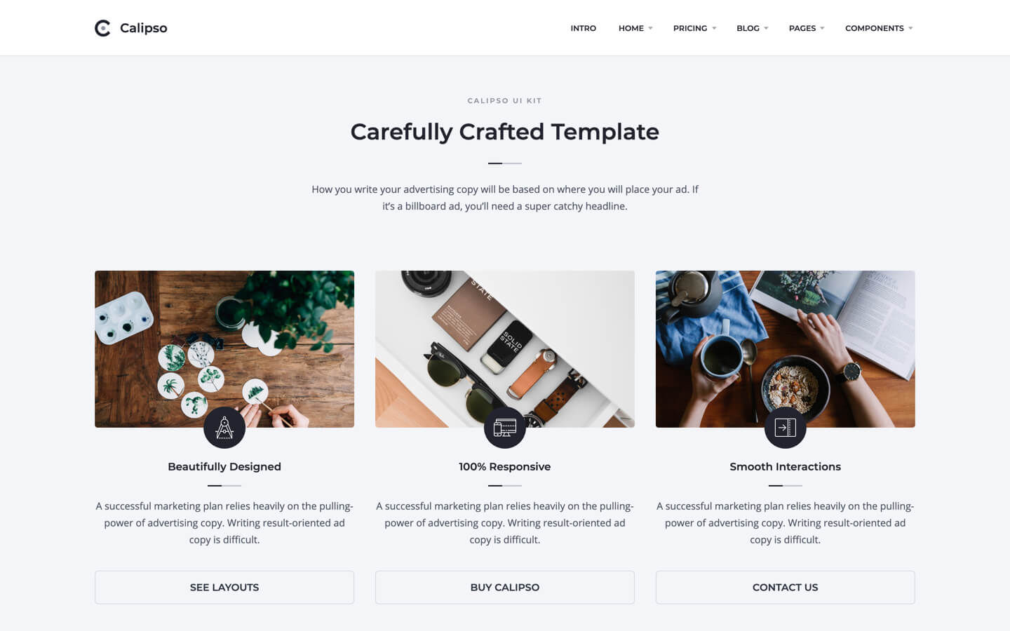 Calipso - Ui Kit HTML5 Responsive Website Template