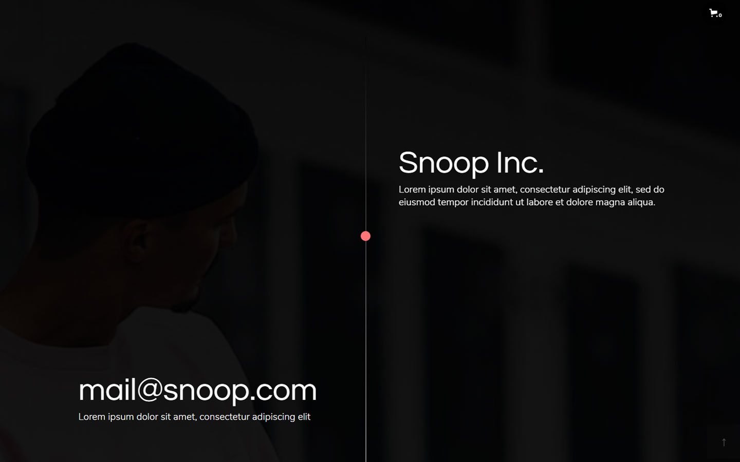 Snoop - Fashion HTML5 Responsive Website Template