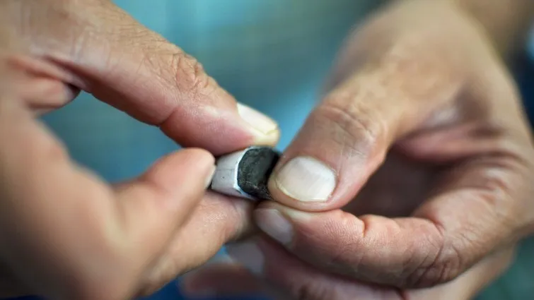 All News about TAGIT EM Technology