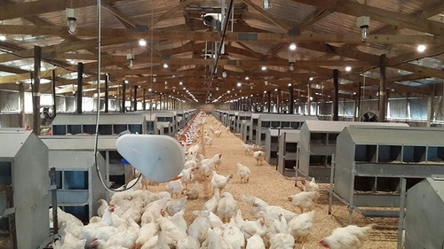 SUNBIRD® Poultry Lighting