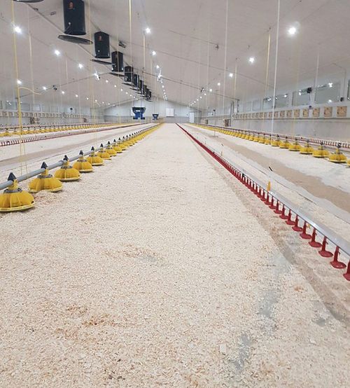 SUNBIRD® Poultry Lighting