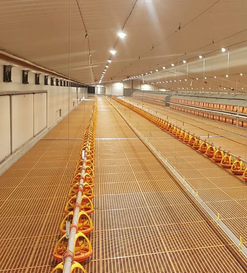 SUNBIRD® Poultry Lighting