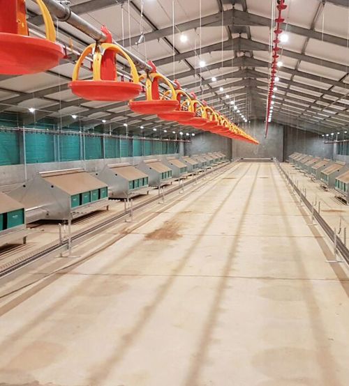 SUNBIRD® Poultry Lighting