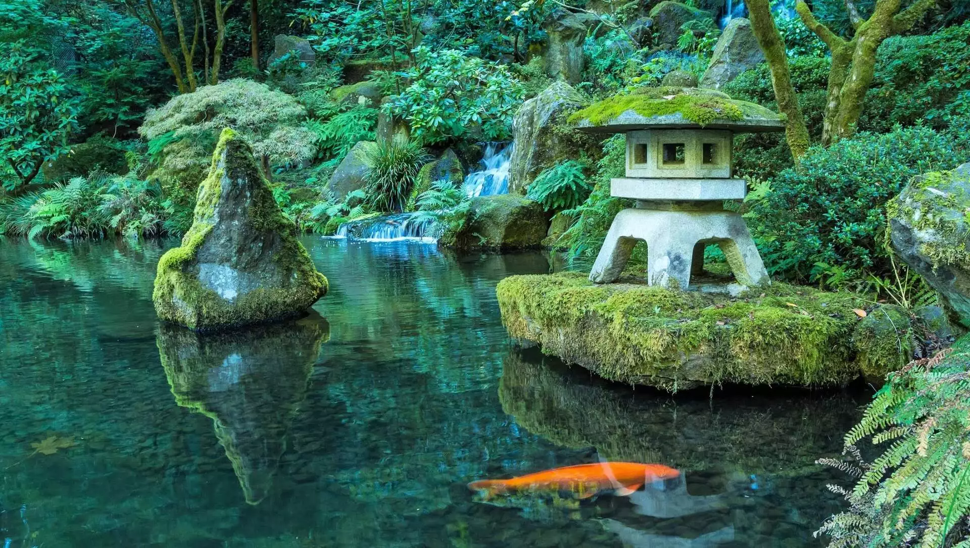 Business Strategy Consulting | Pepper Foster