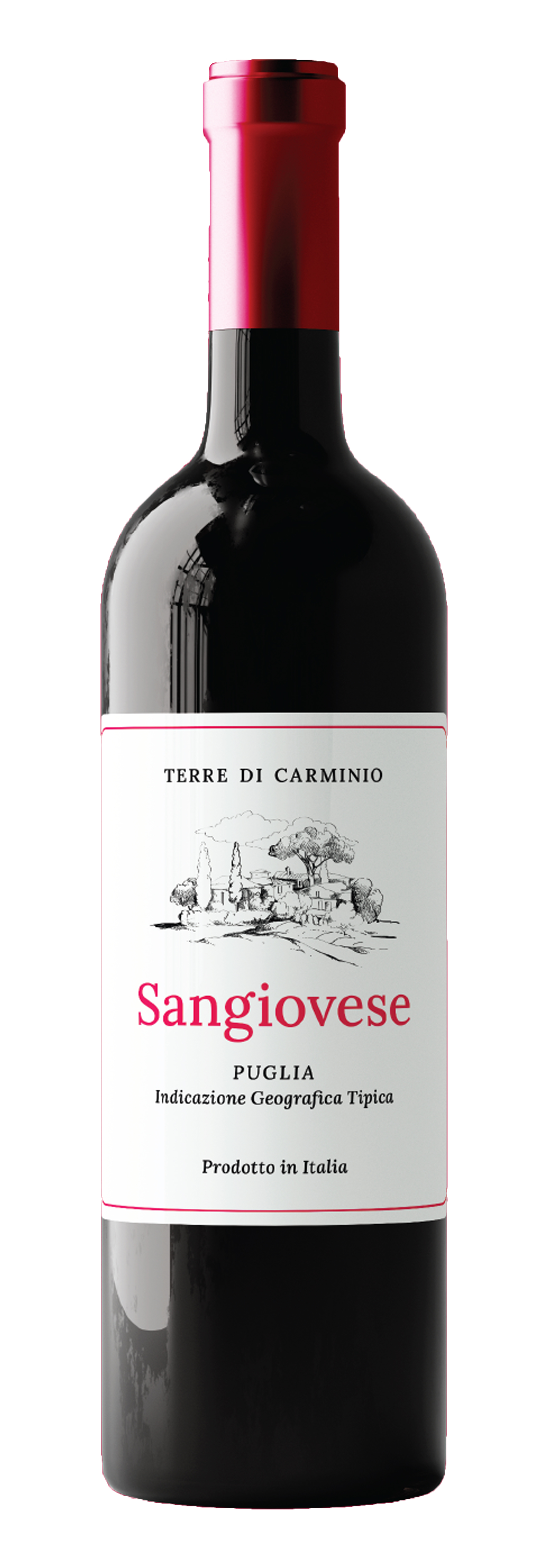 Terre di Carminio Sangiovese - Øvrige, Italia | Oslo Wine Agency