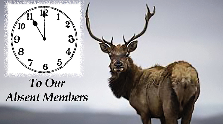What are Elks?