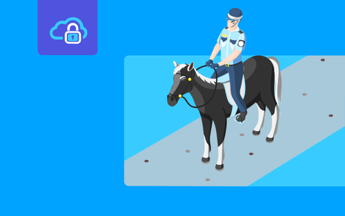 Caredove: 5 Steps to a Secure Website