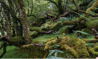 The community website hub for Appin