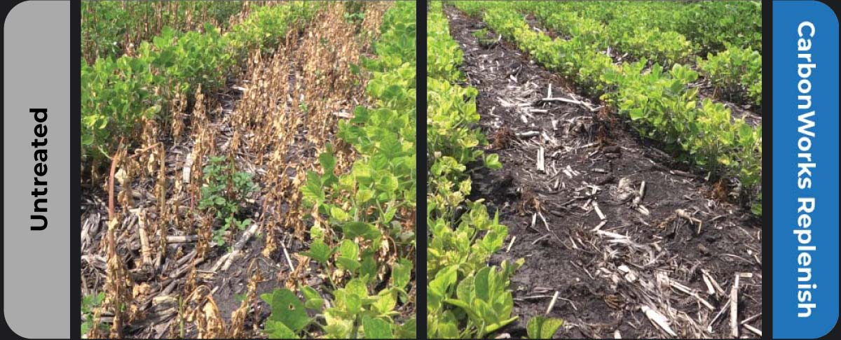 Replenish | Spray More Effectively