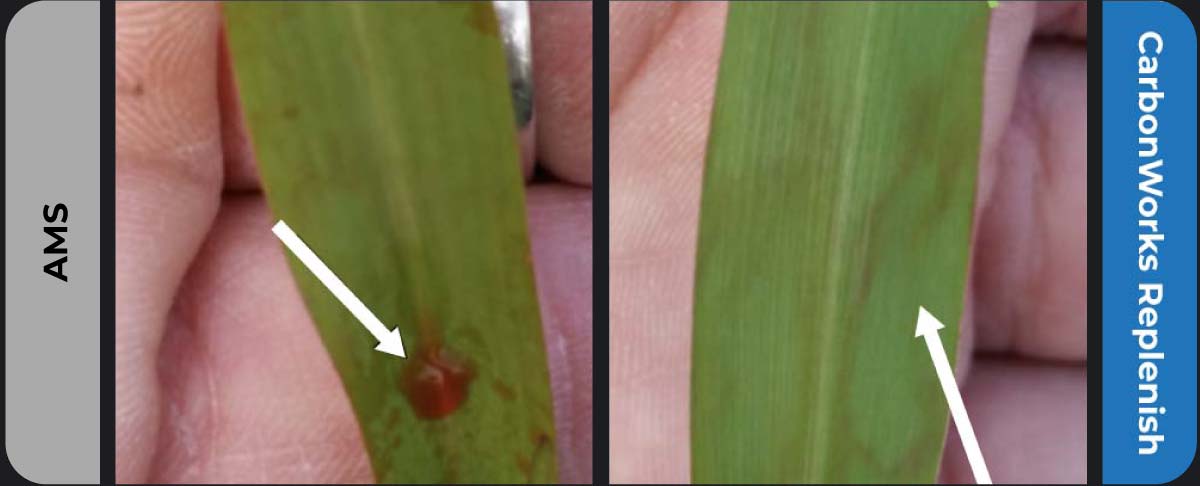 Replenish | Spray More Effectively