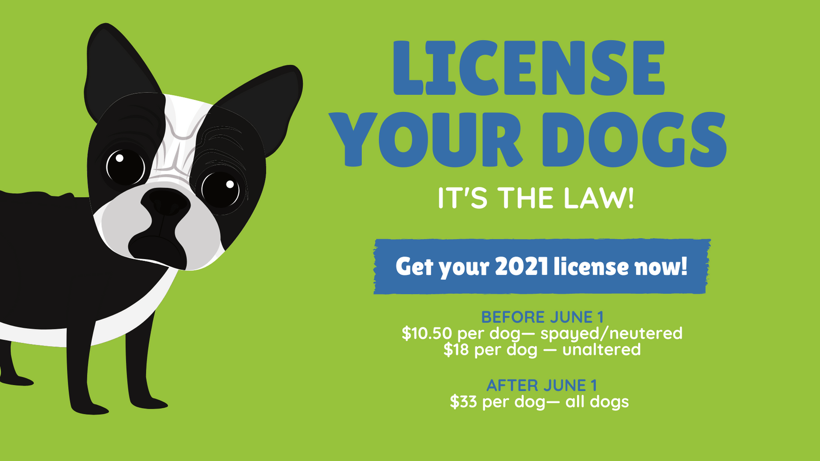 News: 2021 Dog Licenses Available Online