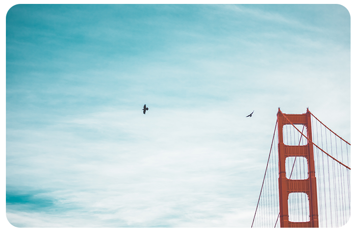 About Us | PredictSpring