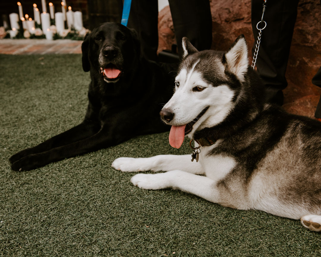 Jessica and Jordan Say I Do at The Casino San Clemente | Jay's Catering