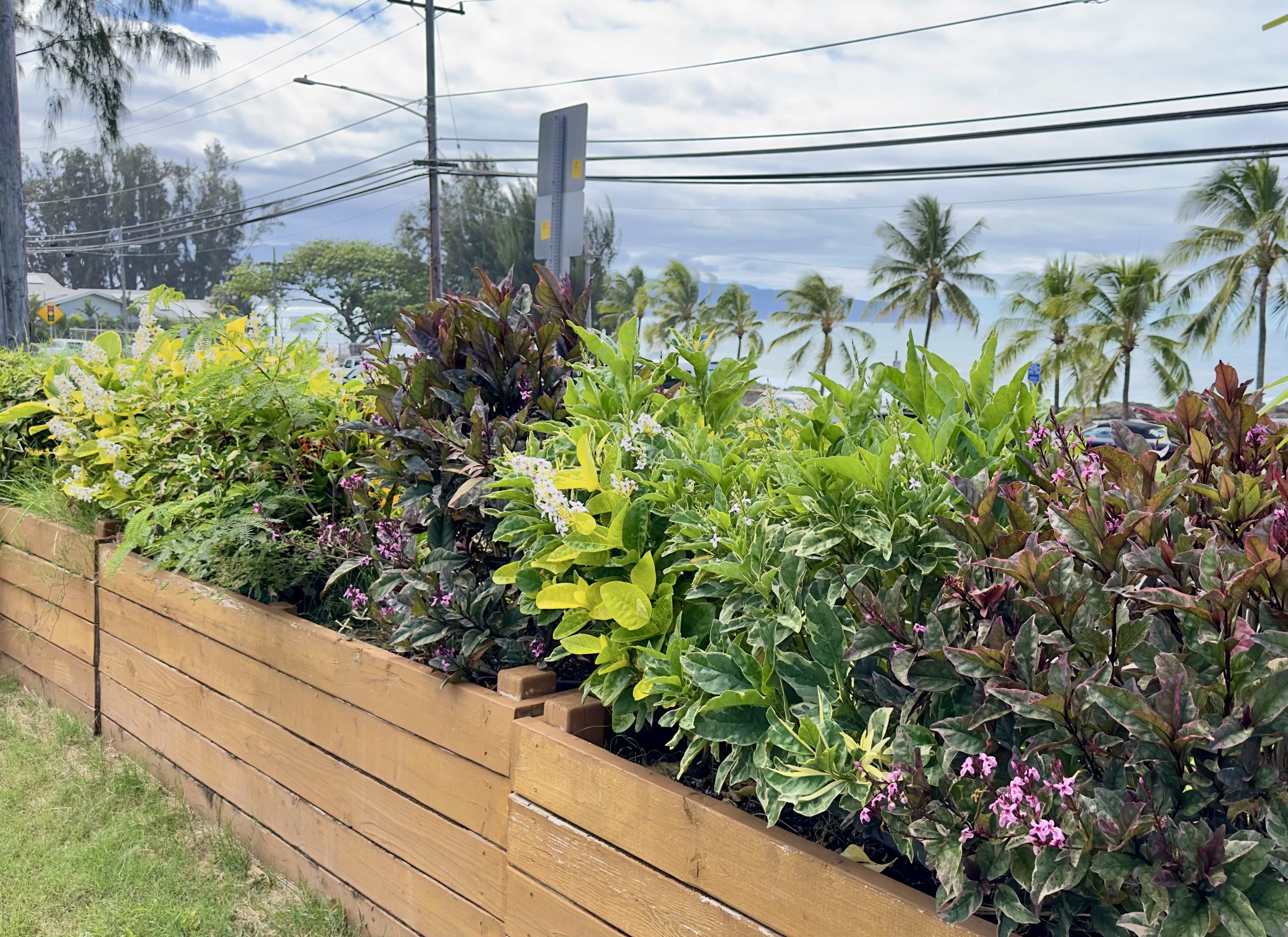 McCully's Corner - North Shore, Oahu