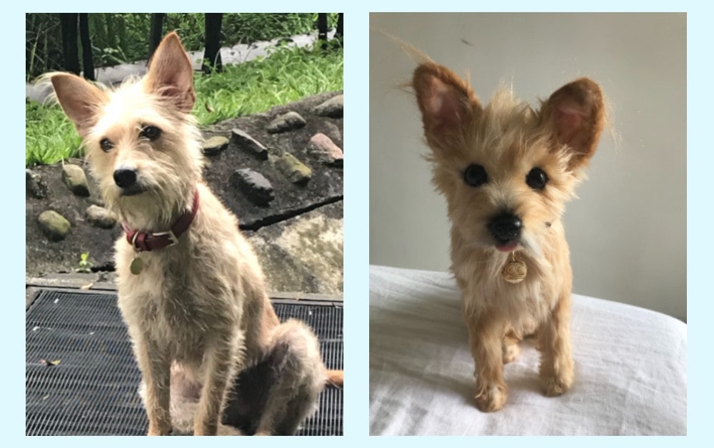 How One Brand Captured 150k Ecommerce Leads With A Popup