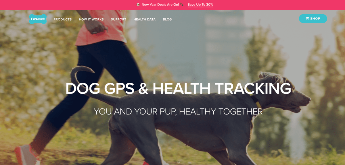 Wordpress Announcement Bar Examples & Templates