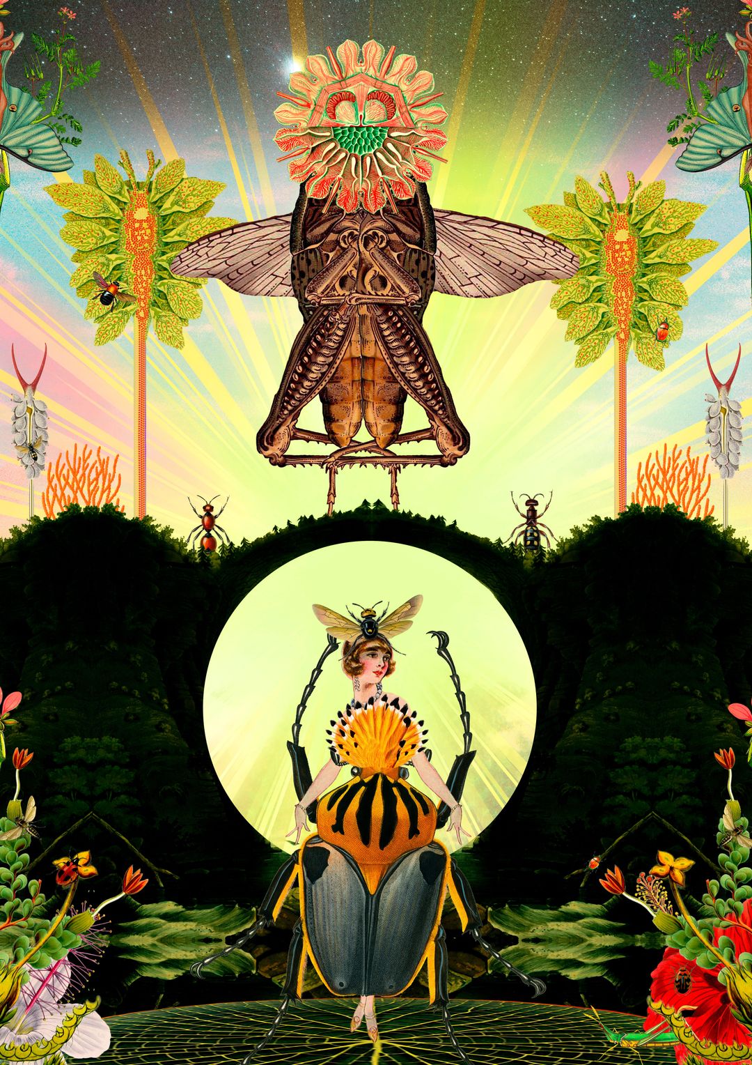 Sliced by Fed — a publication on nutrition