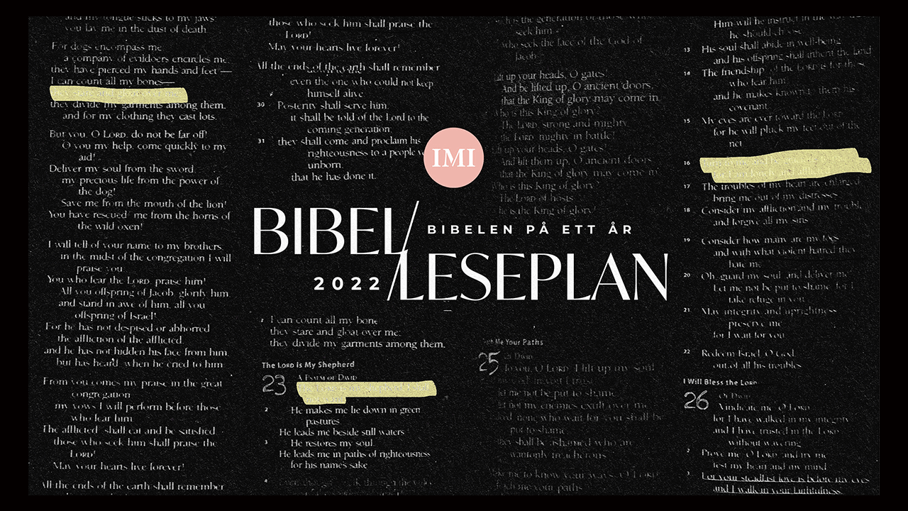 Bibelen på enda ett år? – Blogg av Egil Elling Ellingsen