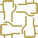 Wildlife Vets International - Vets Saving Endangered Animals in the Wild