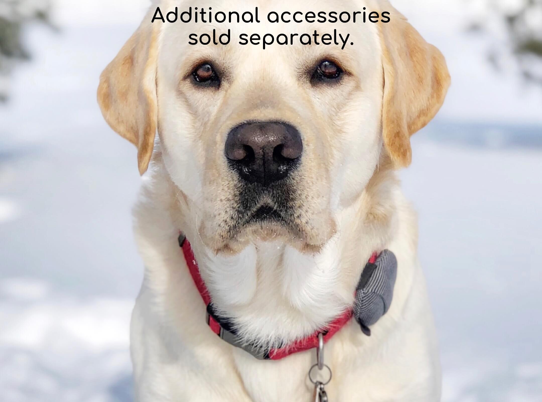 Shop Jiobit by Life360