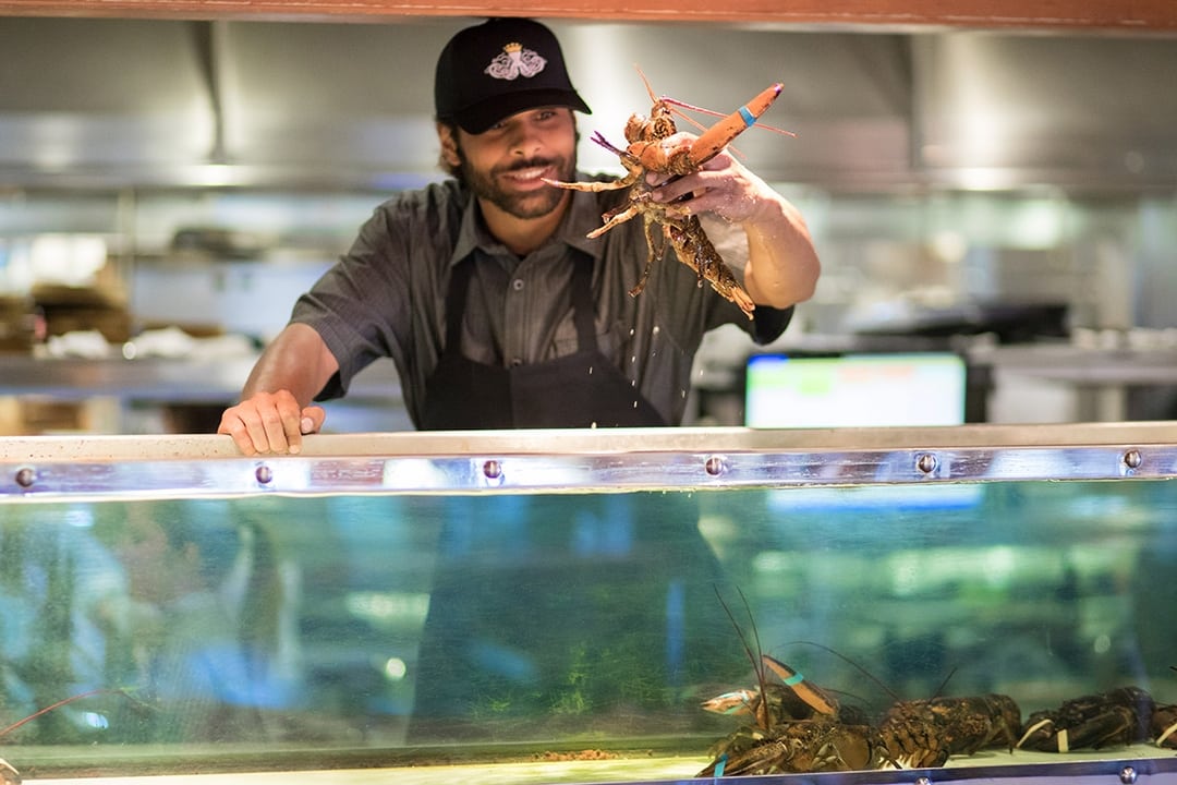 About | King's Fish House