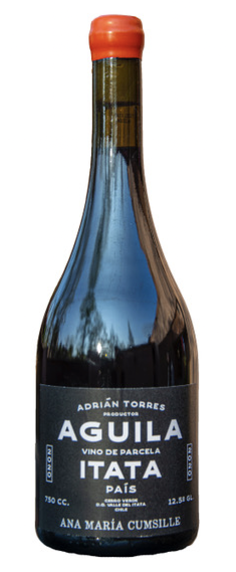 Ana Maria Cumsille Aguila Pais 2022