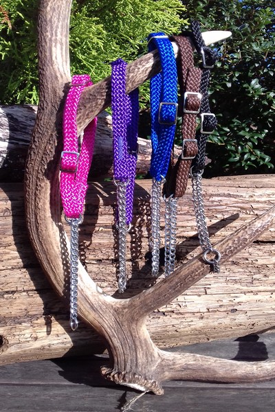 Half Check Collar for Dogs | Dragon Leads