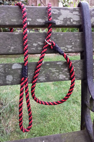 Slip Leads for Dogs | Dragon Leads