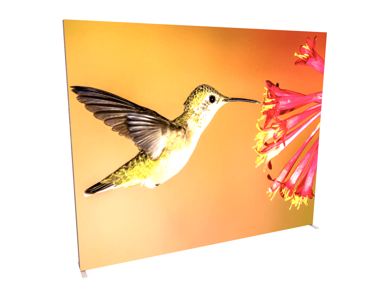 Infinity DNA Panels | Trade Show Displays | MODdisplays