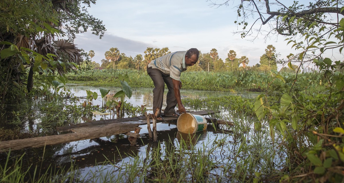 AidData | Linking Local Infrastructure Development and Deforestation ...