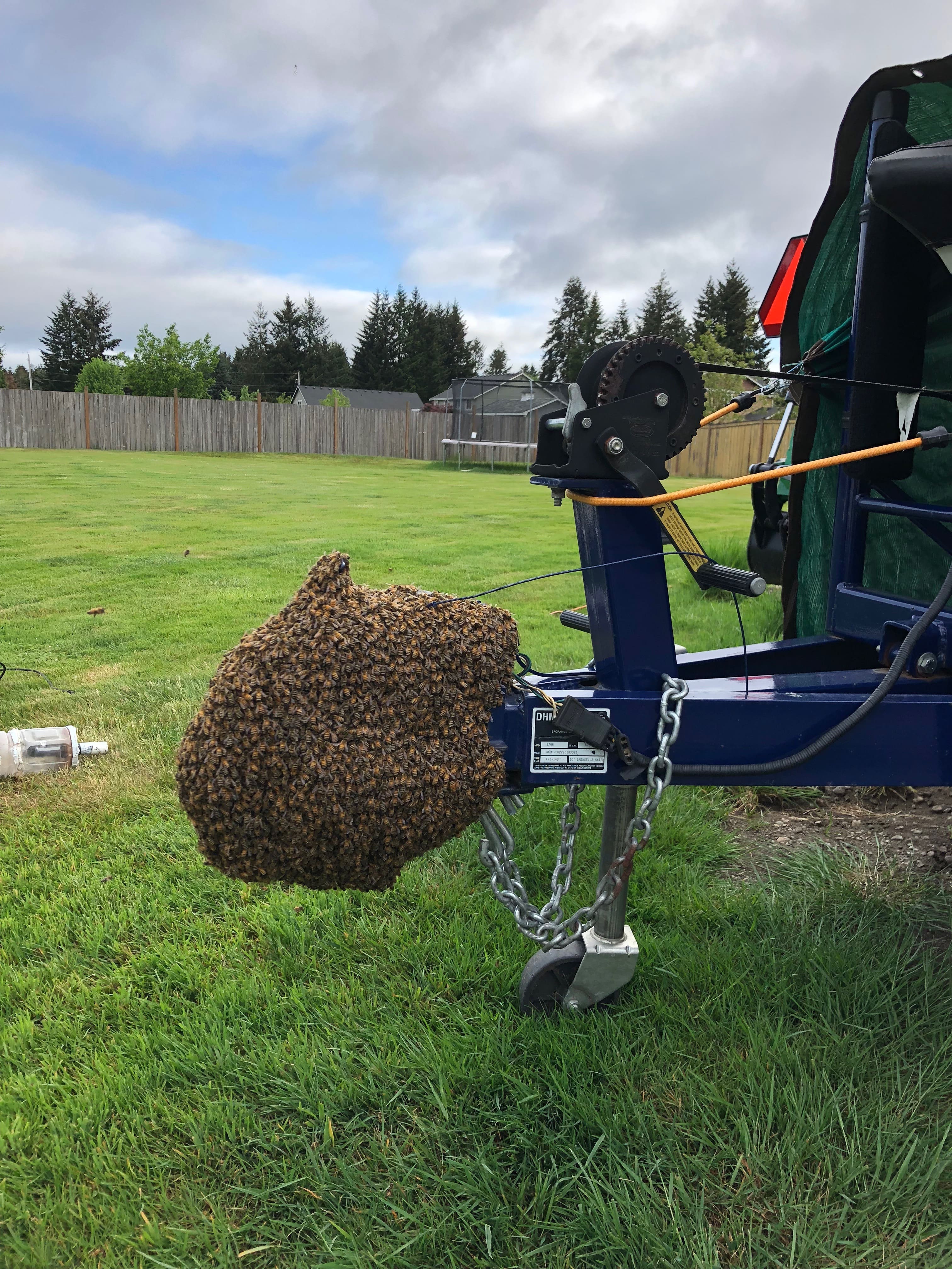 Cascadia Venom Collection