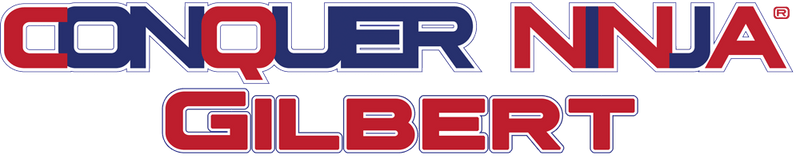 Conquer Ninja Warrior Site Update