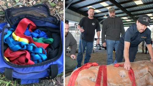 Technical Large Animal Rescue | MANEUVER: Drag, Lift, Roll