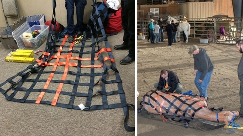 Technical Large Animal Rescue | MANUEVER: Relocation, Protection, Packaging