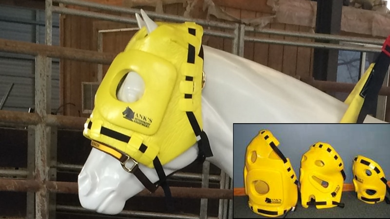 Technical Large Animal Rescue | Padded Head Protectors (CDA & LARRCO)