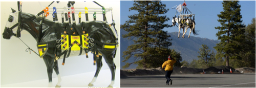 Technical Large Animal Rescue | CDA Products Anderson Sling