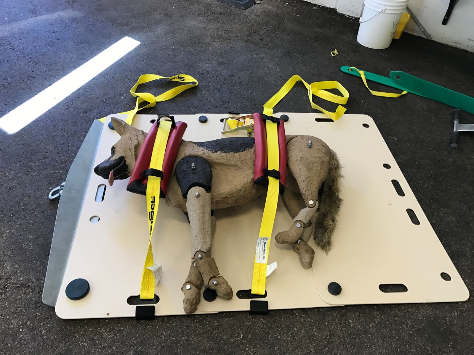 Technical Large Animal Rescue | ATR Training Equipment