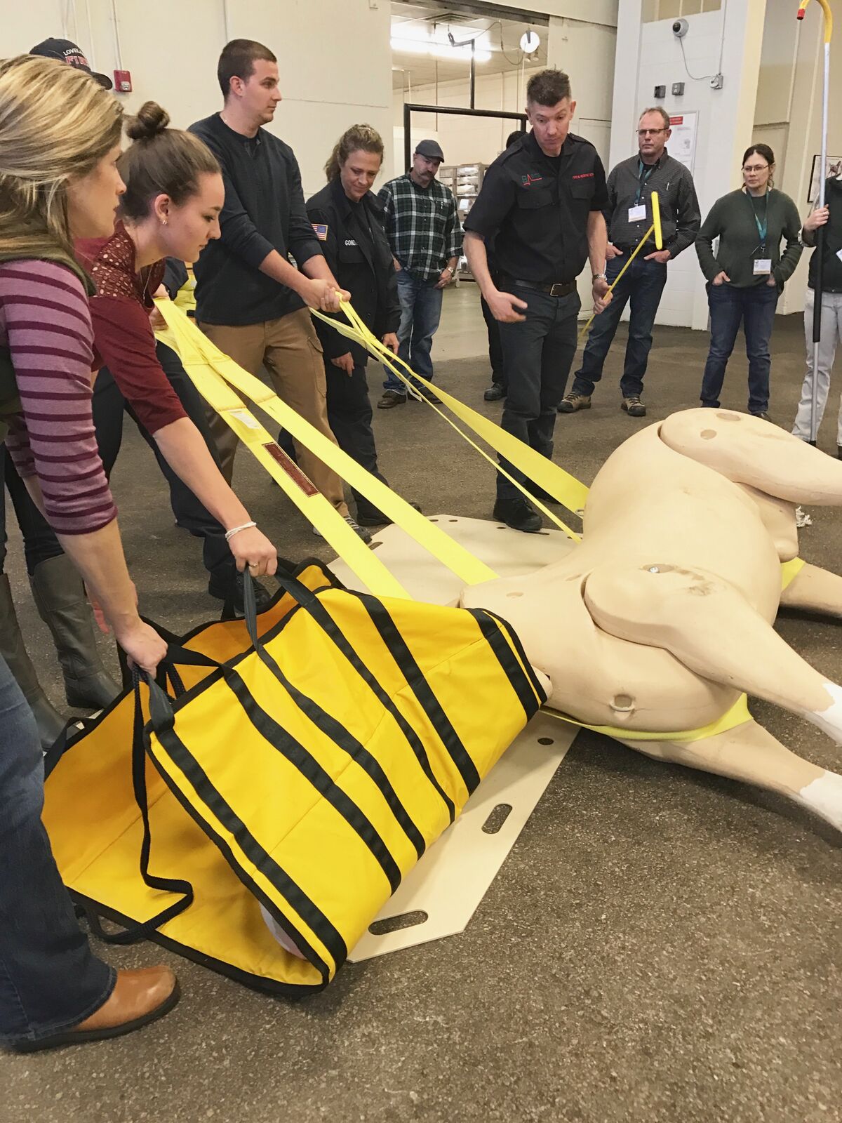 HALTER Project | Equipment and Resources