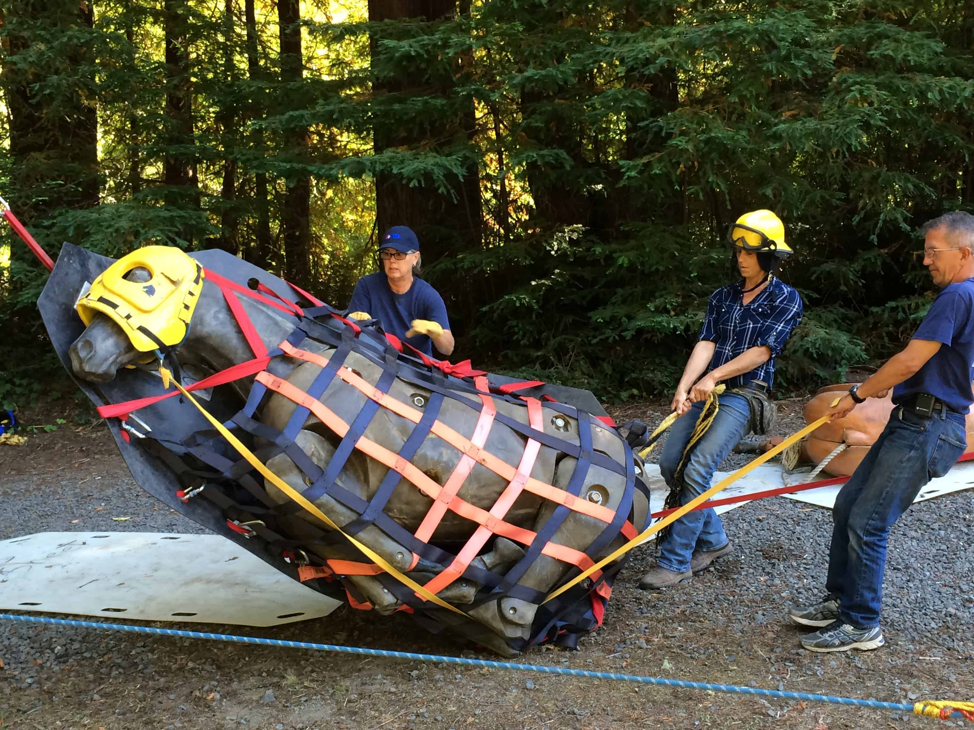 Technical Large Animal Rescue | MANEUVER: Packaging