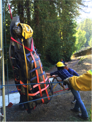 Technical Large Animal Rescue | MANEUVER: Packaging