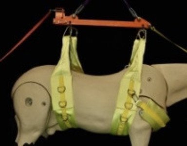 Technical Large Animal Rescue | Commerical Lifts and Slings